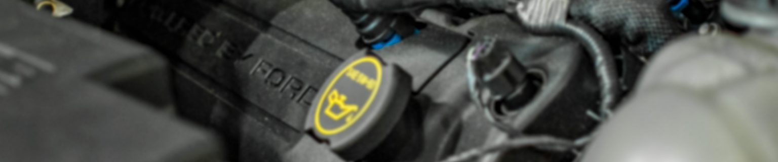 FORD MUSTANG - GT 101